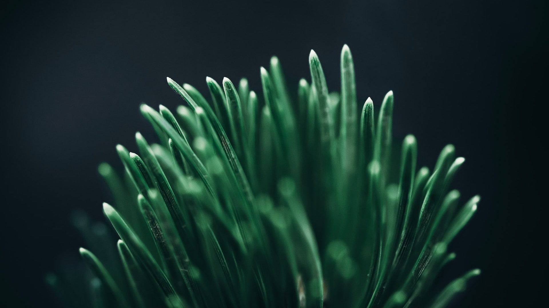 Payload Website Template | Payload Website Template